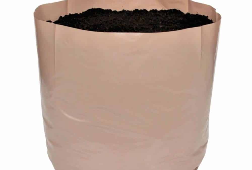 Hadopots launches oxo-biodegradable plant pot - Herefordshire ...