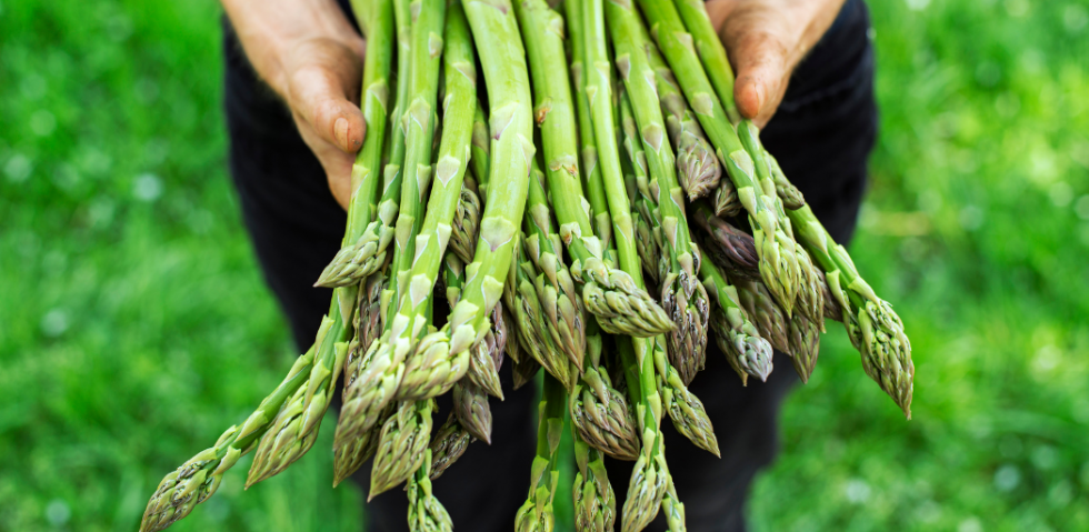 National Asparagus Day 2021 #ShopLocal | Herefordshire & Worcestershire ...
